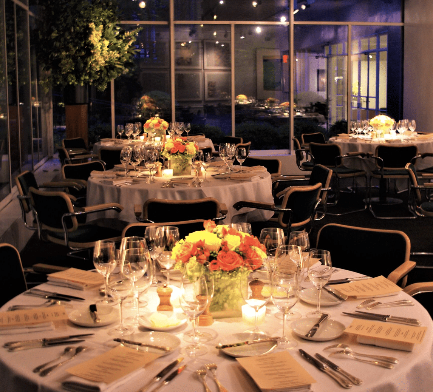 NYC Interactive Meal | Private Dining Experience | Avital